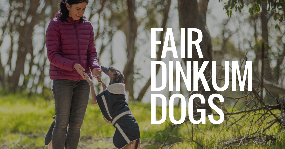 Australian Made Dog Treats – Fair Dinkum Dogs